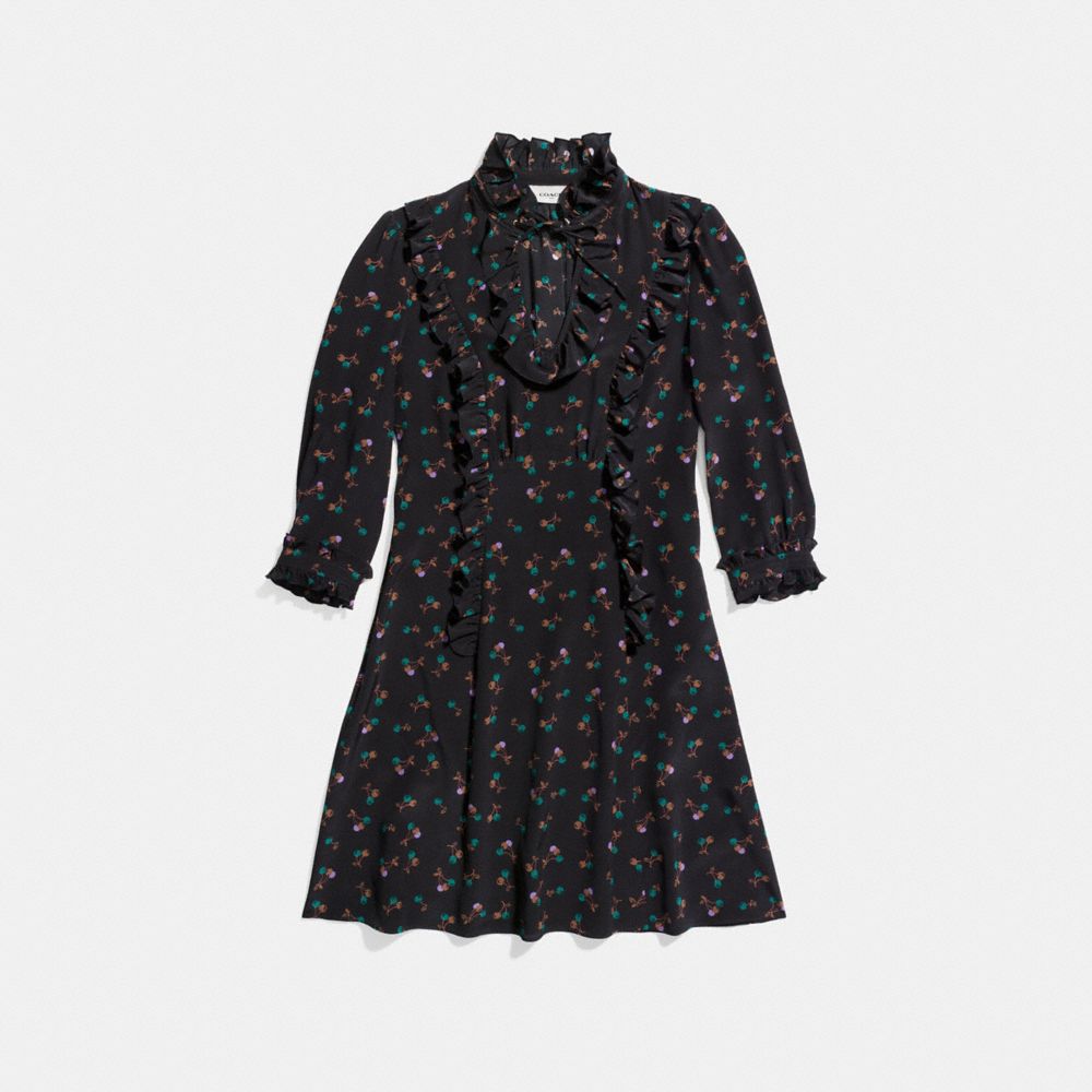 COACH® | Western Shirt Dress