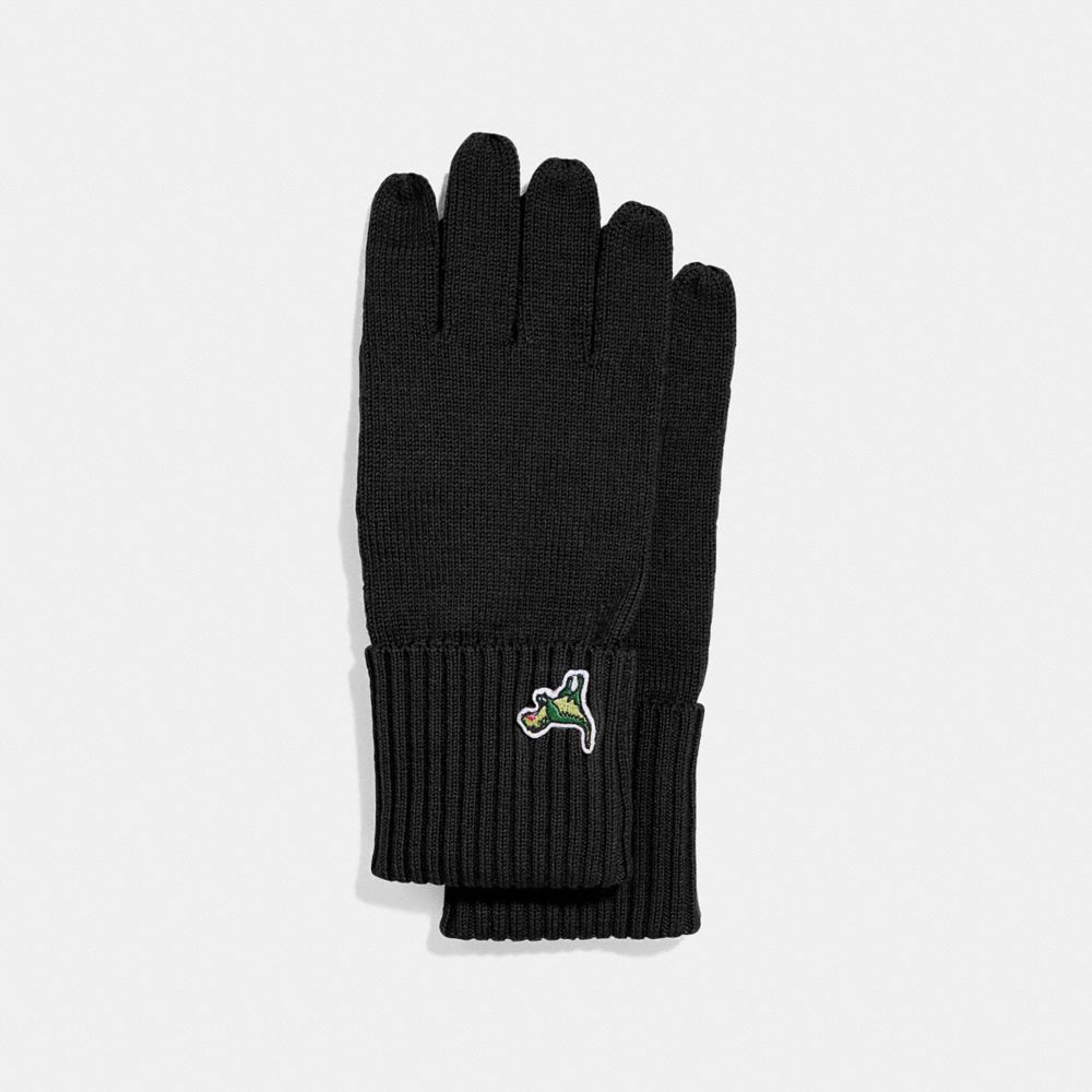 Knit Tech Rexy Gloves | COACH®