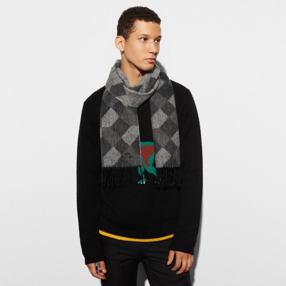 COACH®: Patchwork Scarf