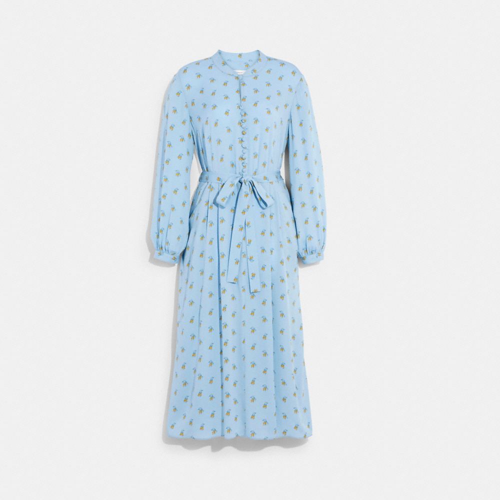 Printed Long Sleeve Dress | COACH®