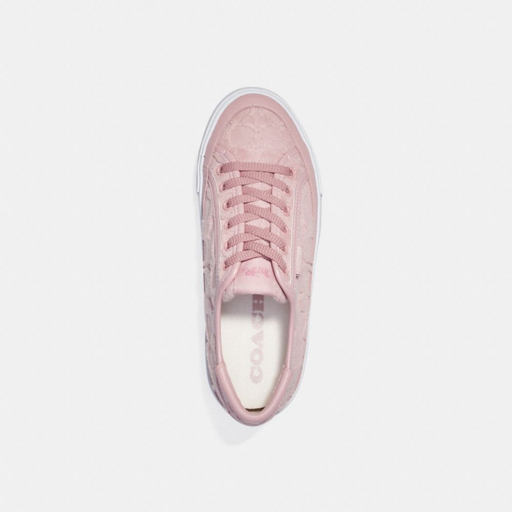Coach Pink Runners G3013 - apniyojana.com