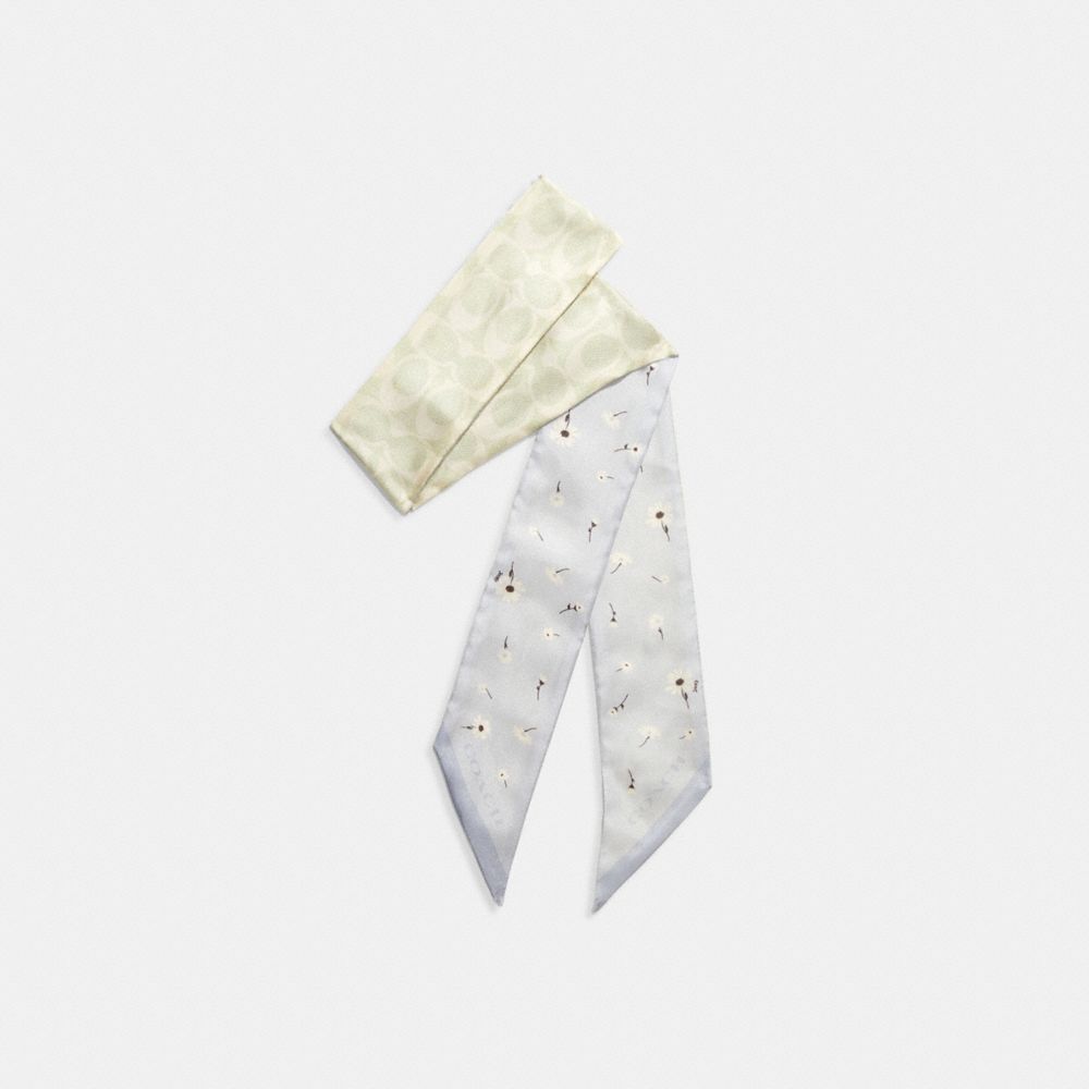 Daisy Script Print Skinny Scarf | COACH®