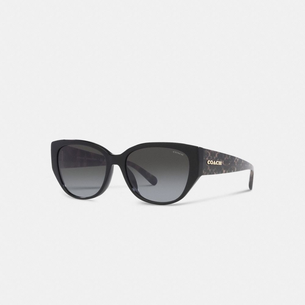 Signature Rounded Cat Eye Sunglasses | COACH®