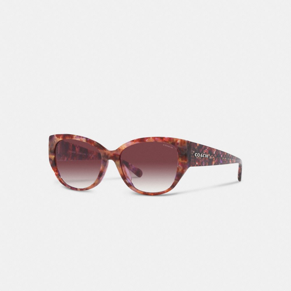 Signature Rounded Cat Eye Sunglasses | COACH®