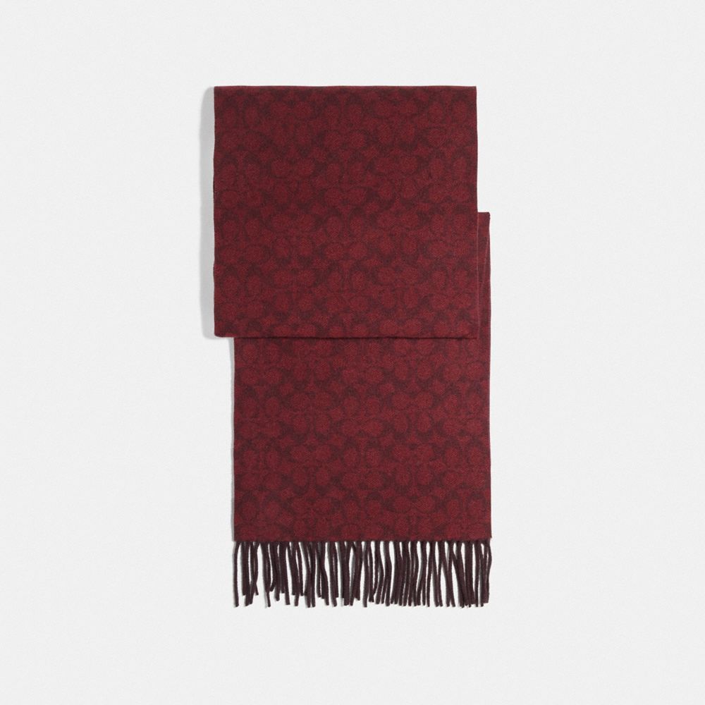 COACH® Outlet | Signature Scarf