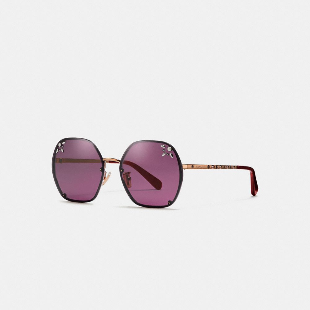 COACH® | Prairie Rivets Hexagon Sunglasses
